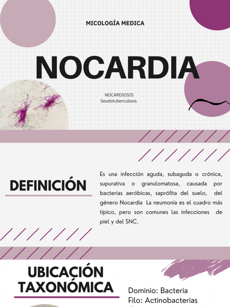 Nocardia | PDF
