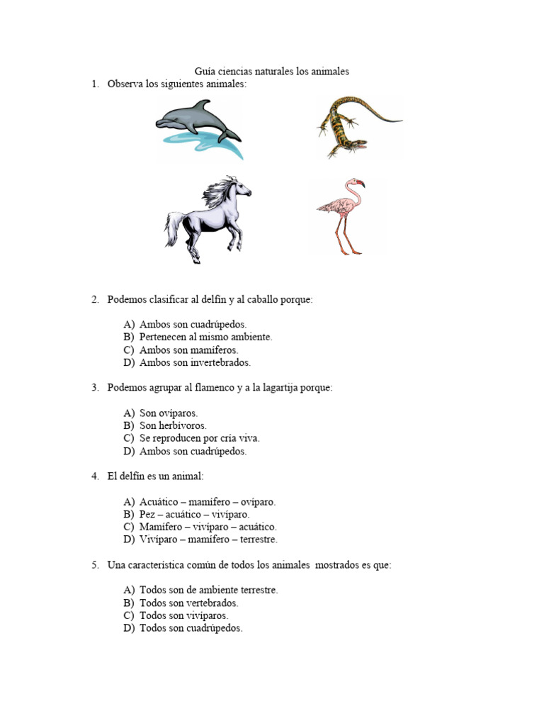 Guía Ciencias Naturales Los Animales | PDF | Vertebrados | Reptil