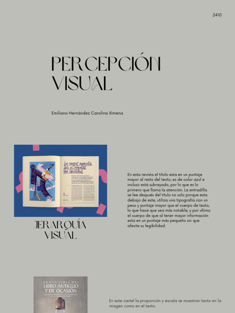 Percepción visual | PDF