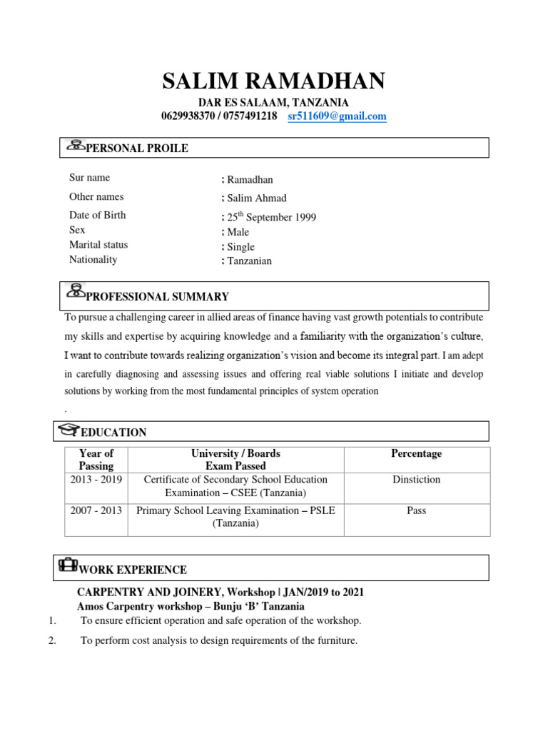 Salim Ahmad Ramadhan Cv | PDF | Tanzania