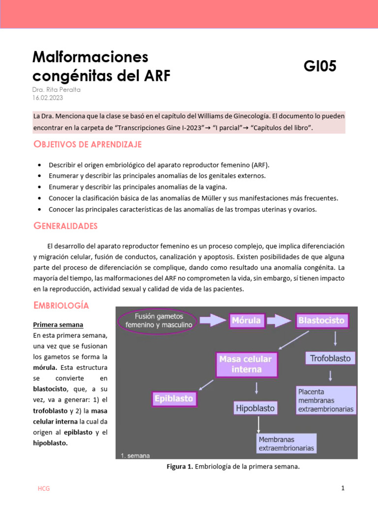 GI05.Malformaciones Congénitas Del ARF | PDF | Vagina | Sistema Reproductor Femenino Mamífero