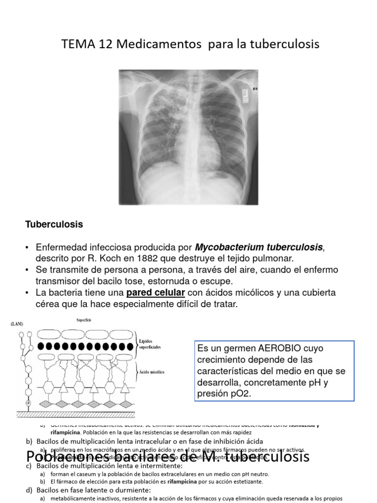 TEMA 12 Medicamentos para La Tuberculosis 2 | PDF | Tuberculosis | Medicamentos con receta