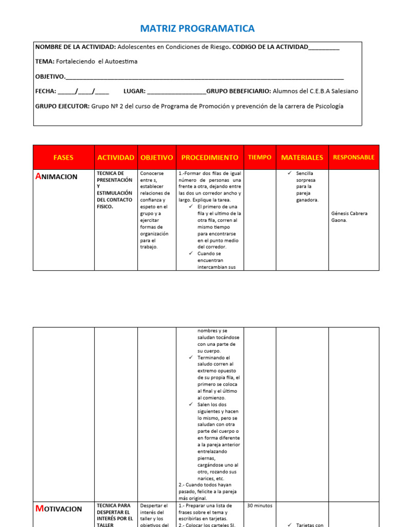 Final Matriz Programatica | PDF
