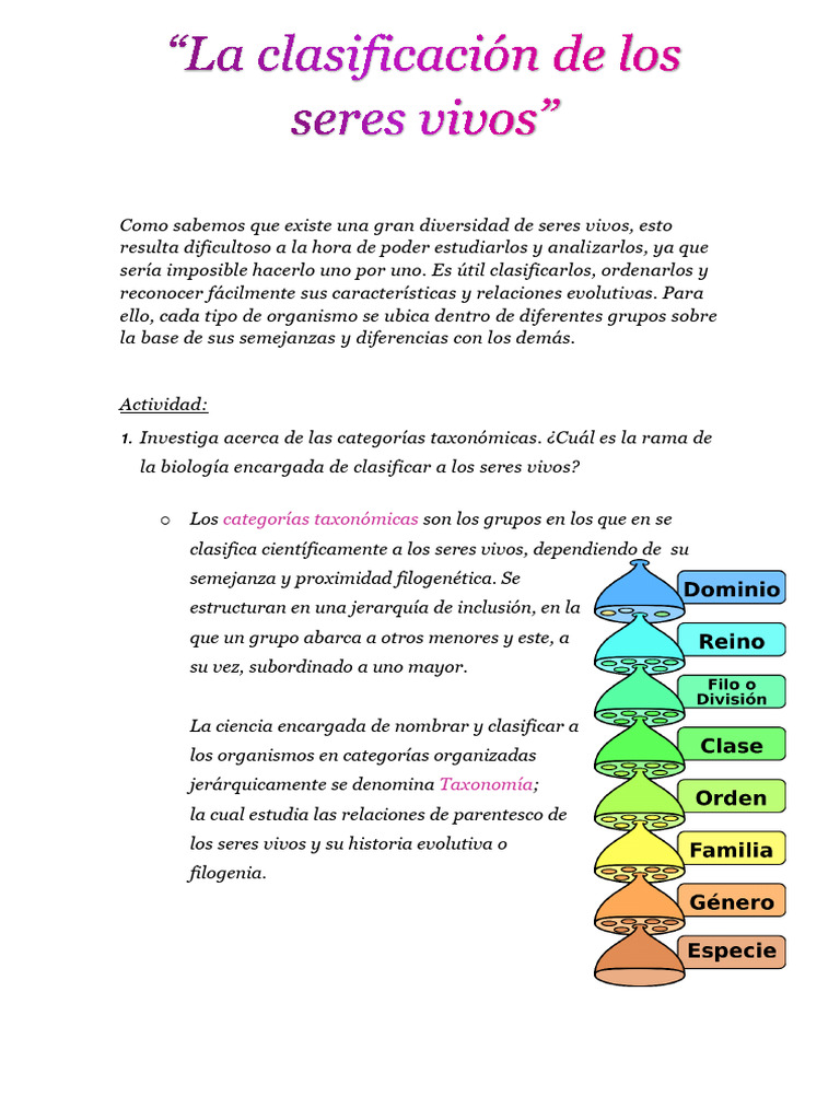 Biologia Clasificacion de Los Seres Vivos | PDF | Plantas | Eucariotas