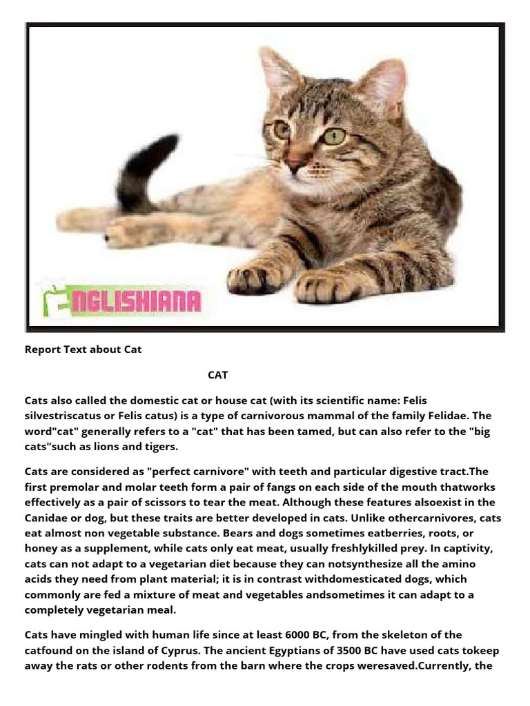 Report Text About Cat - 20240505 - 065153 - 0000 | PDF