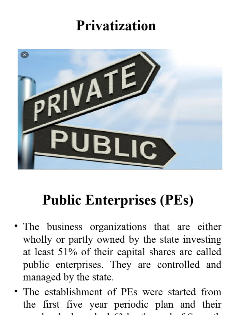 Privatization | PDF | Privatization | State Owned Enterprise