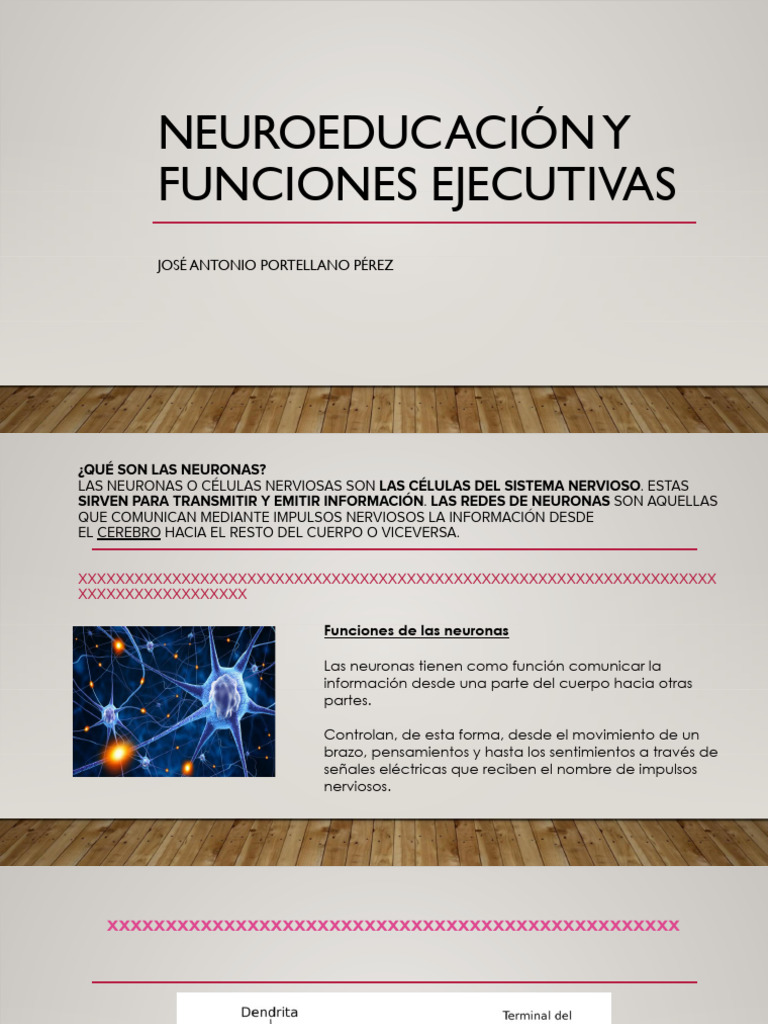 Neuroeducación y Funciones Ejecutivas | PDF | Cerebro | Aprendizaje