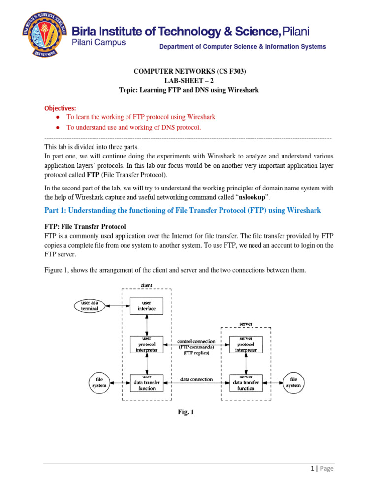 Week-2 Lab DNS FTP | PDF | Domain Name System | Transmission Control Protocol