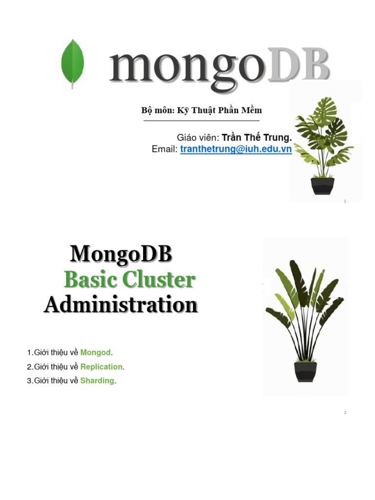 Understanding Mongod in MongoDB | PDF | Mongo Db | Superuser