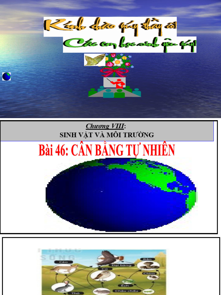 Bai 46 KHTN 8 KNTT | PDF