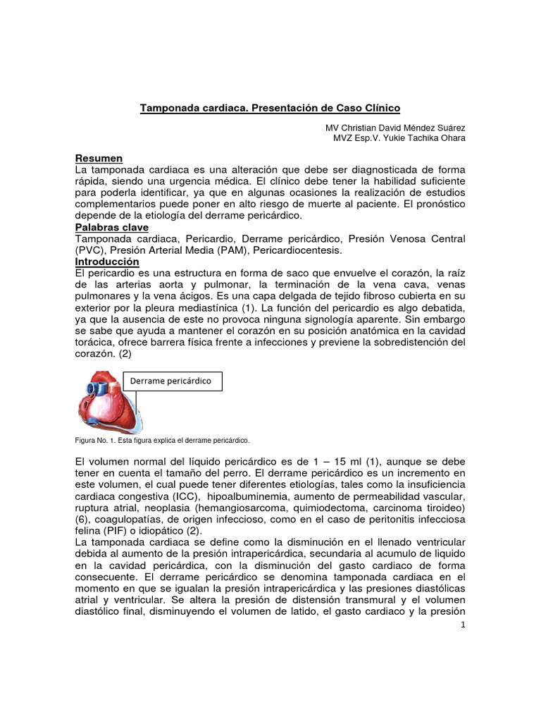 Tamponada Cardiaca. | PDF | Insuficiencia cardíaca | Corazón