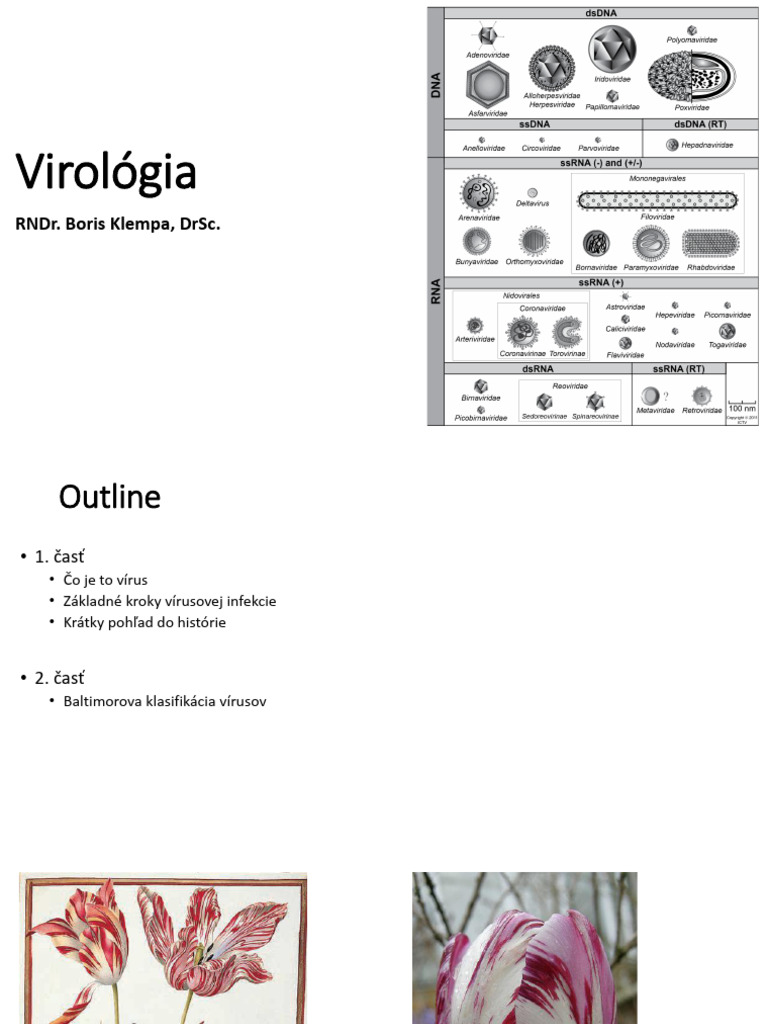 Klempa Biologia1rocLS Virologia1 April2024 | PDF