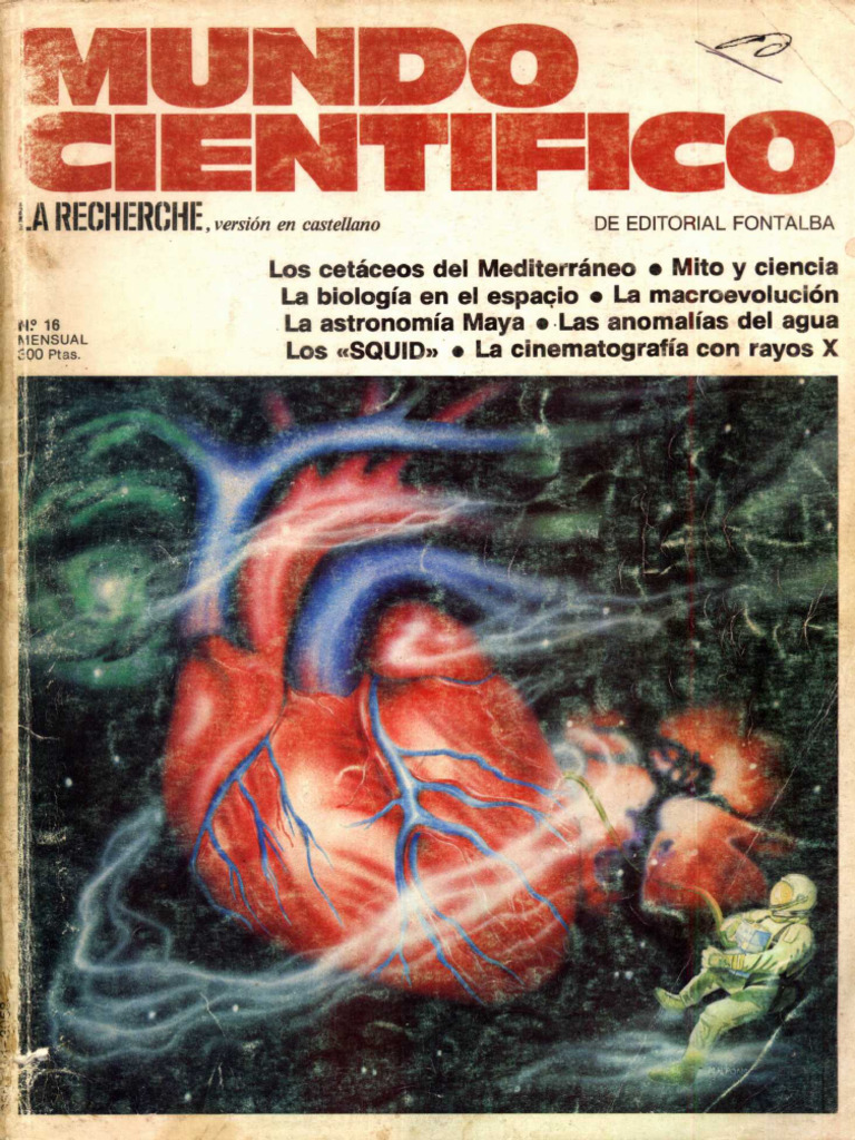 Mundo Cientifico Vol 2 016 1982 | PDF