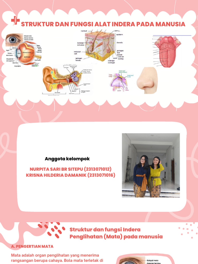 Struktur dan Fungsi Panca Indra Manusia | PDF | Griya & Taman ...