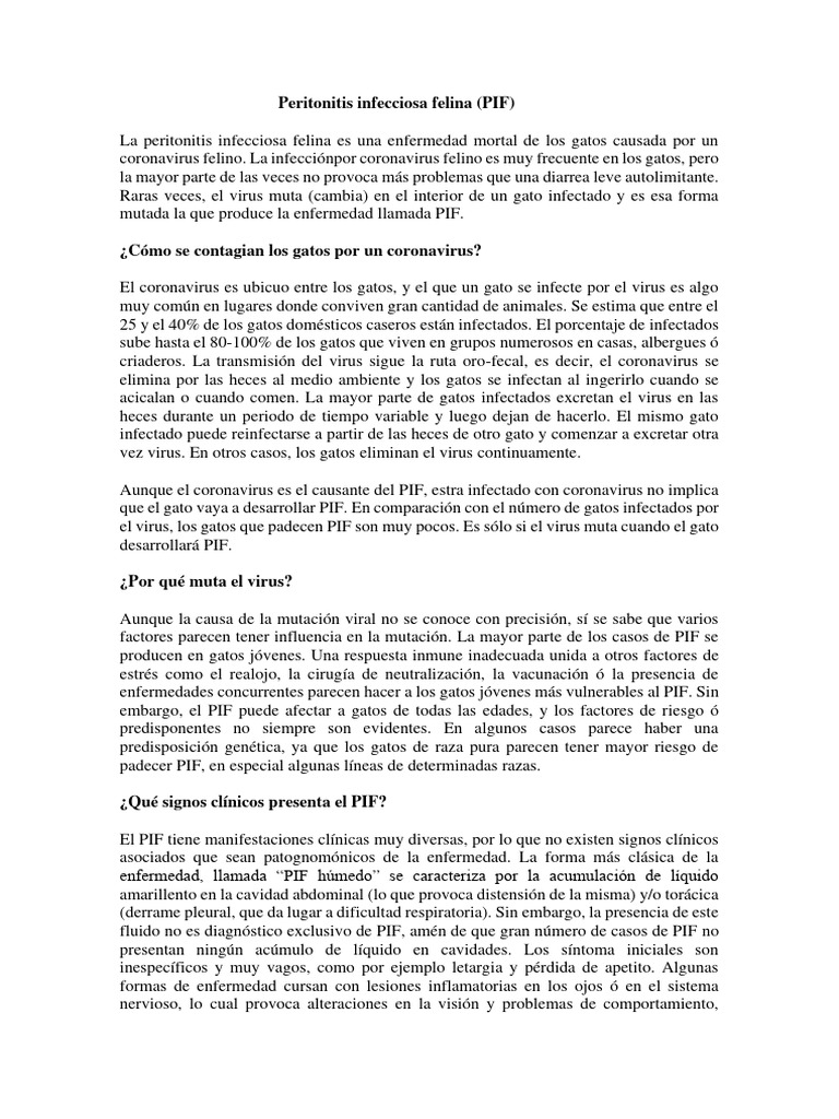 Peritonitis Infecciosa Felina (PIF) | PDF | Gatos | Virus