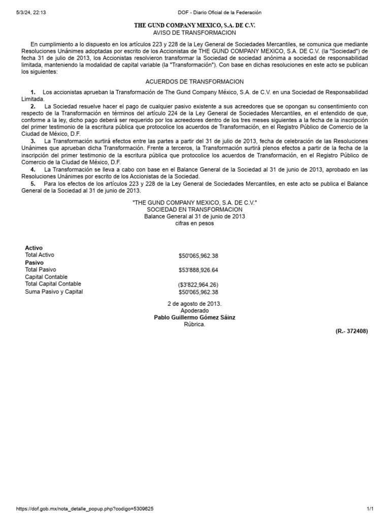 Transformación de The Gund Company S.A. | PDF