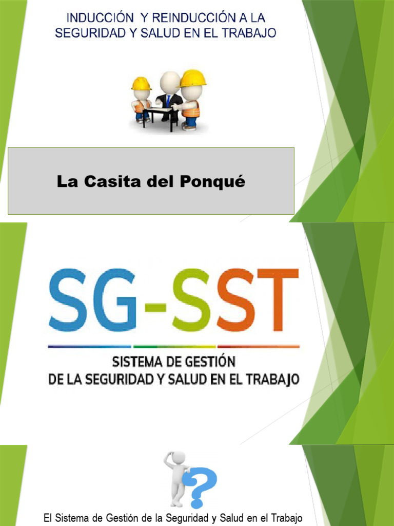 Induccion y Reinduccion SST | PDF | Valores | Business