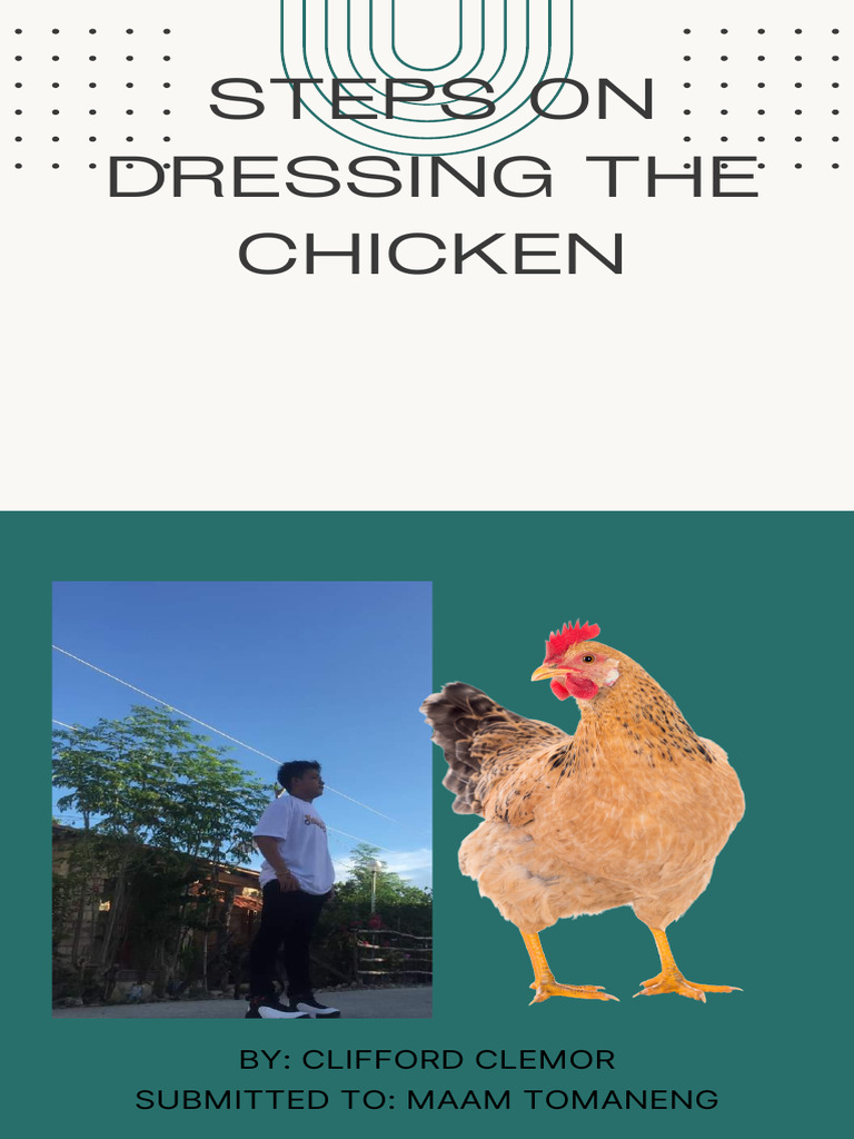 Chicken Dressing Procedures for Curing | PDF