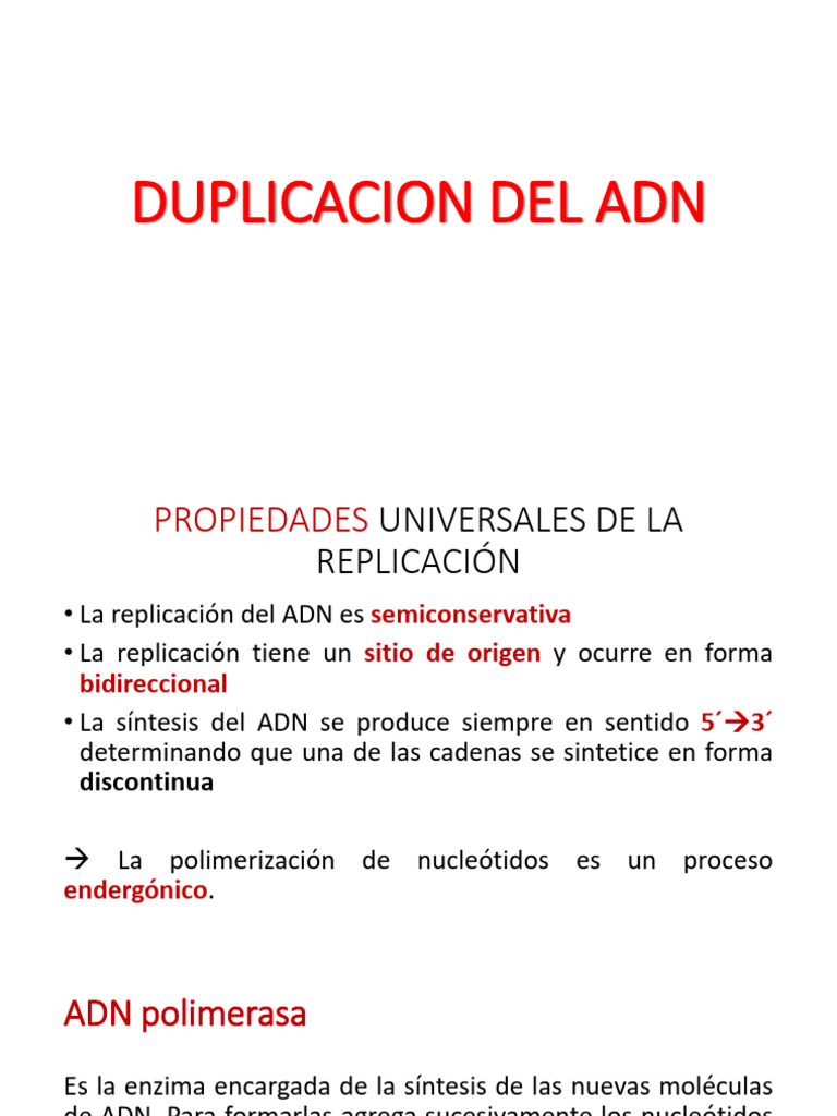 20 Duplicación Del ADN | Descargar gratis PDF | Replicación De Adn | Adn