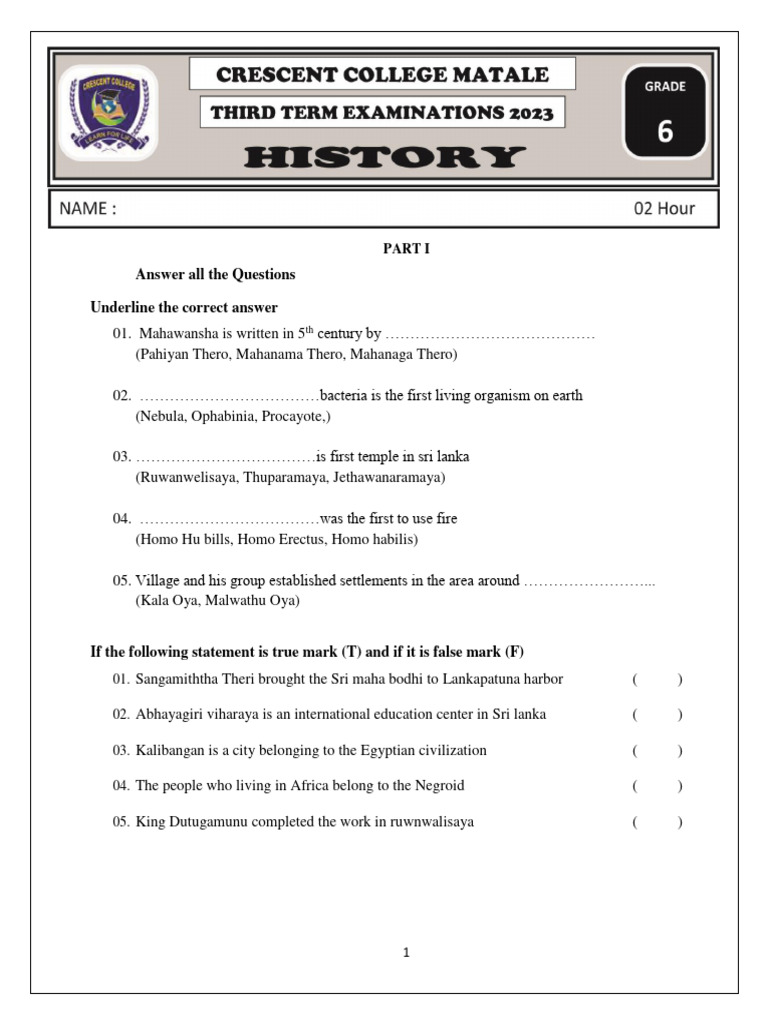 Grade 6 History 3rd Term 2023 | PDF | Homo