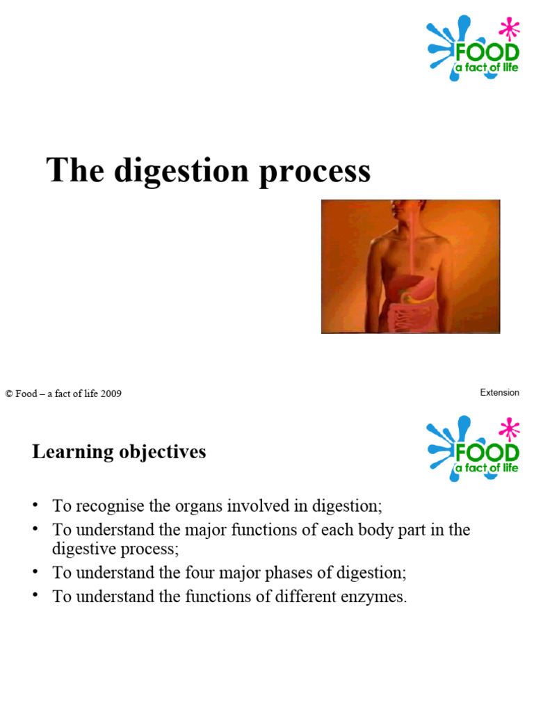 Understanding the Human Digestion Process | PDF | Digestion | Human ...