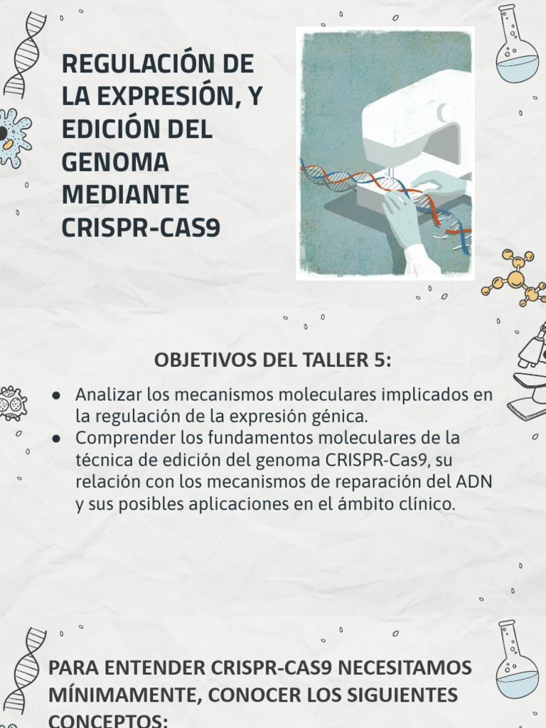 Taller 5 QR | PDF | Gene | Adn