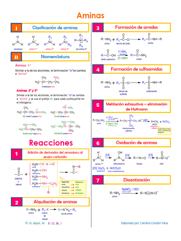 Formulario de Aminas | Descargar gratis PDF | Amina | Amoníaco