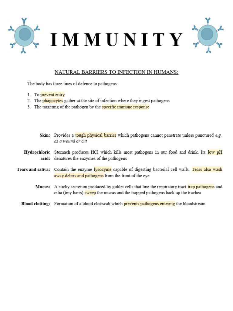 Immunity Notes | PDF | Immune System | Antigen