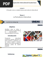 Mapa Conceptual Diversidad Cultural | PDF | Interculturalidad | Educacion Cultural