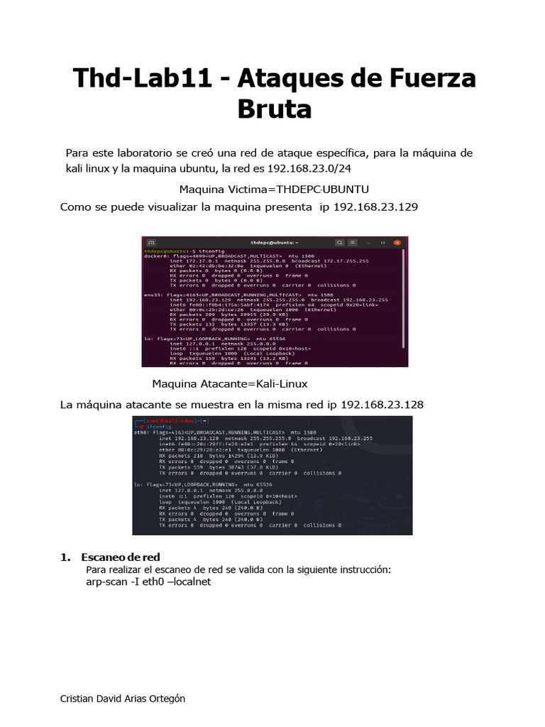Thd-Lab11 - Ataques de Fuerza Bruta | PDF