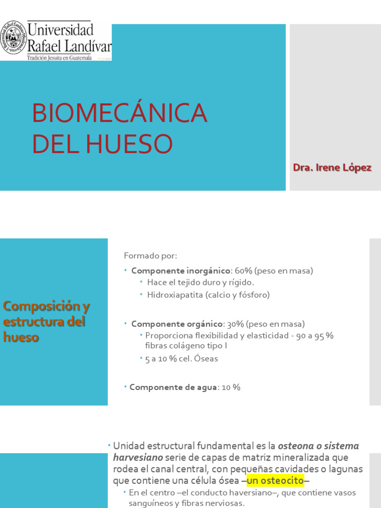 Biomecanica Del Hueso | PDF | Hueso | Sistema esquelético Biomecanica Del Hueso | PDF | Hueso | Sistema esquelético