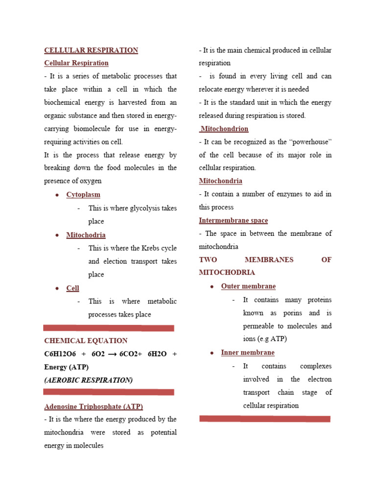 CELLULAR RESPIRATION | PDF | Cellular Respiration | Mitochondrion