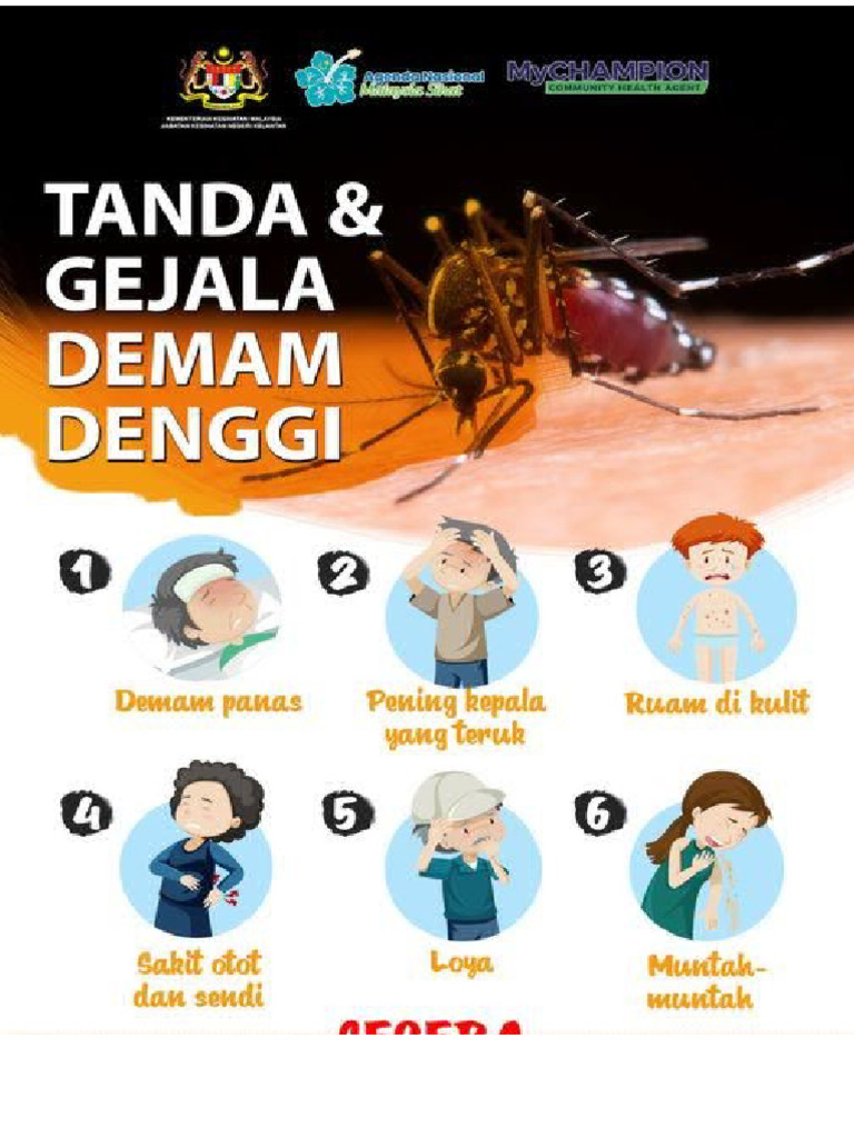 DENGGI | PDF
