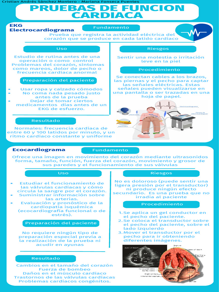 Pruebas de Funcion Cardiaca. | PDF | Corazón | Electrocardiografia