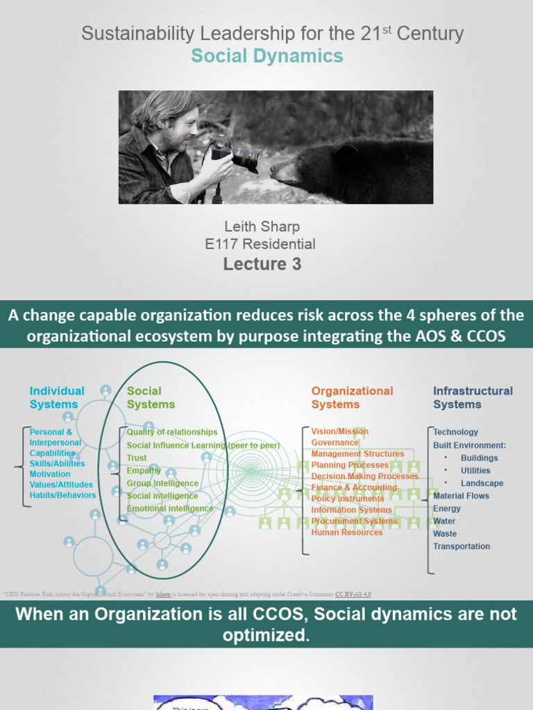 Sustainability Leadership Strategies | PDF | Collective Intelligence | Intelligence