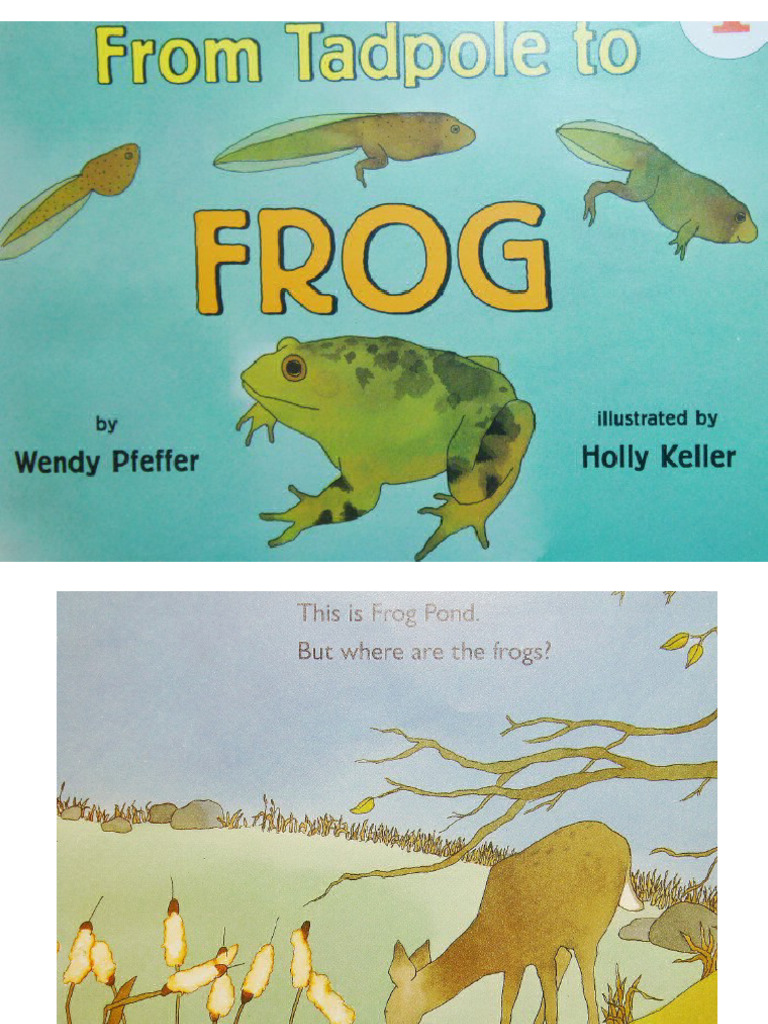 Unit17 From Tadpole To Frog | PDF | Language Arts & Discipline ...