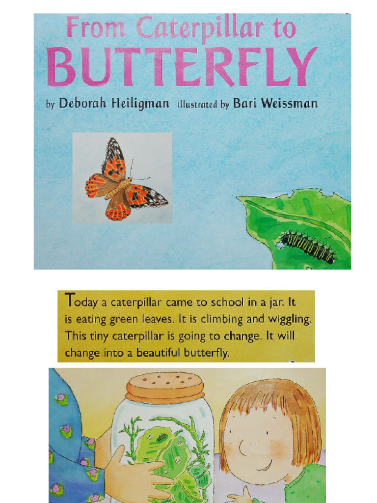 Butterfly Life Cycle Explained | PDF