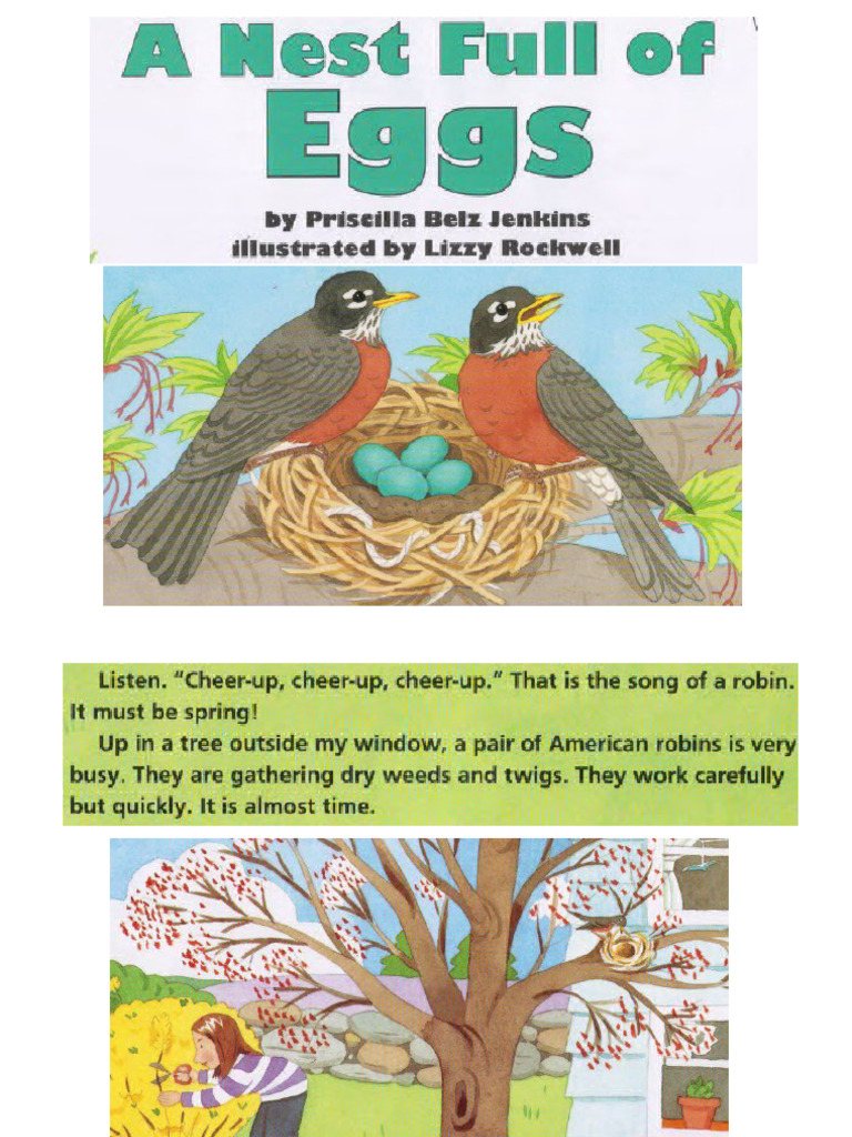 Robin Life Cycle for Young Readers | PDF | Language Arts & Discipline