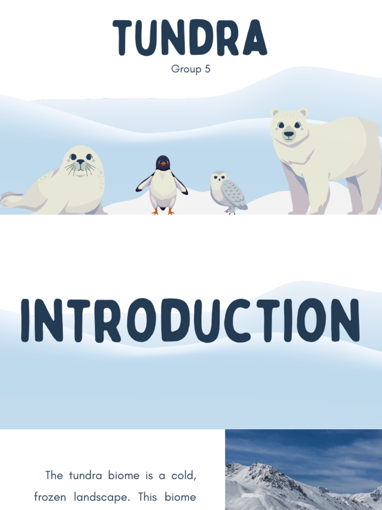 Tundra | PDF | Polar Bear | Earth Sciences