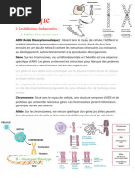 Dérive Génétique - Modèle Diploïde | PDF