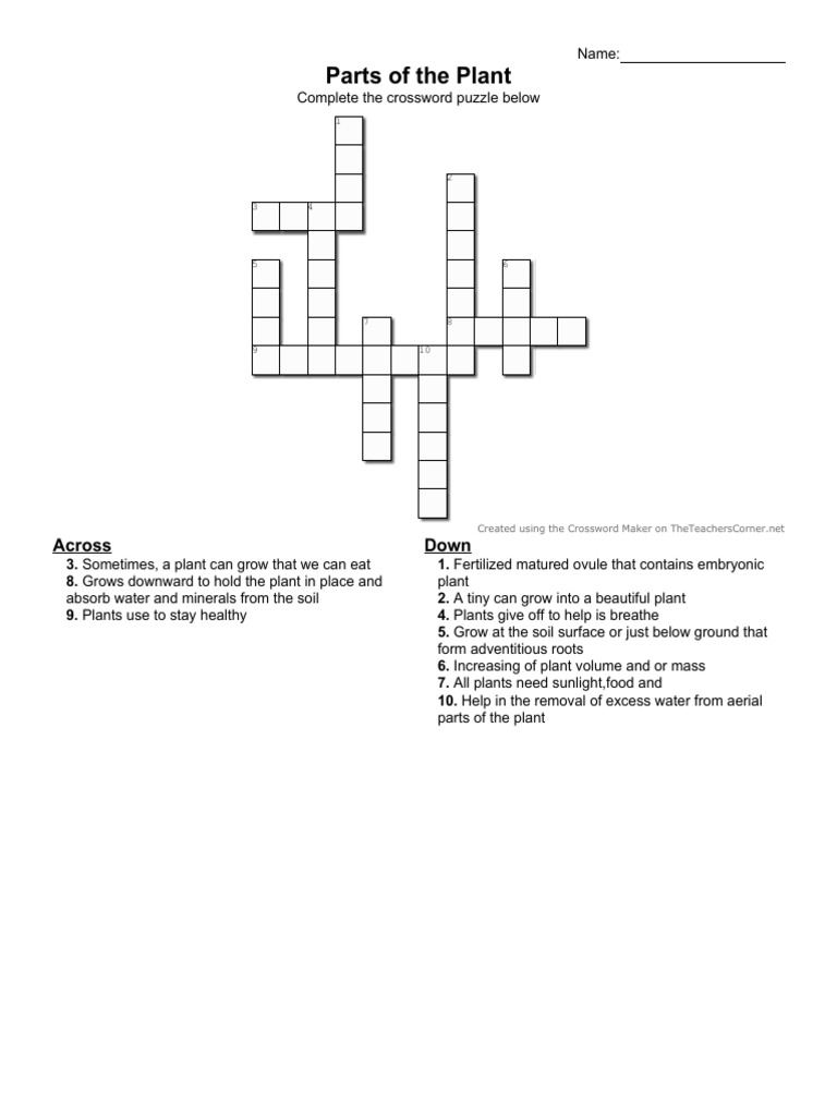 Plant Parts Crossword Puzzle | PDF