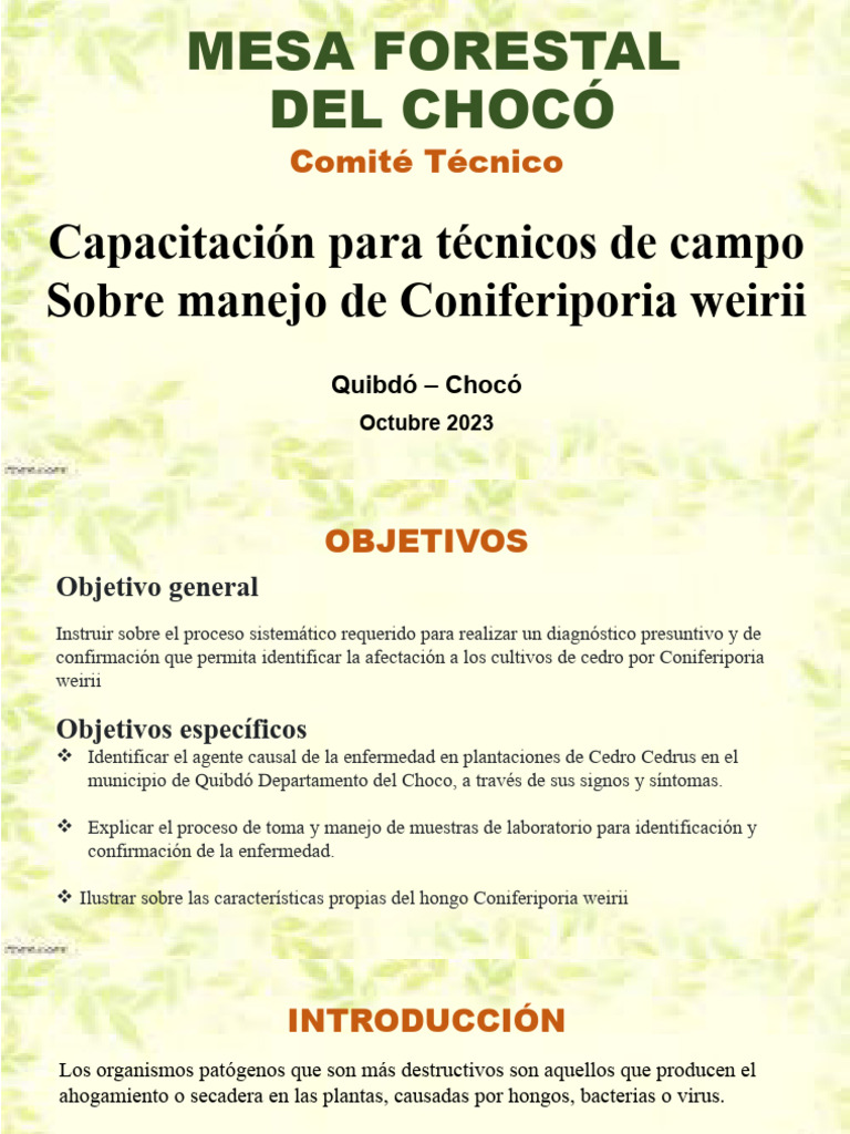 Manejo de Coniferiporia weirii en Cedro | PDF | Hongo | Plaga (organismo)