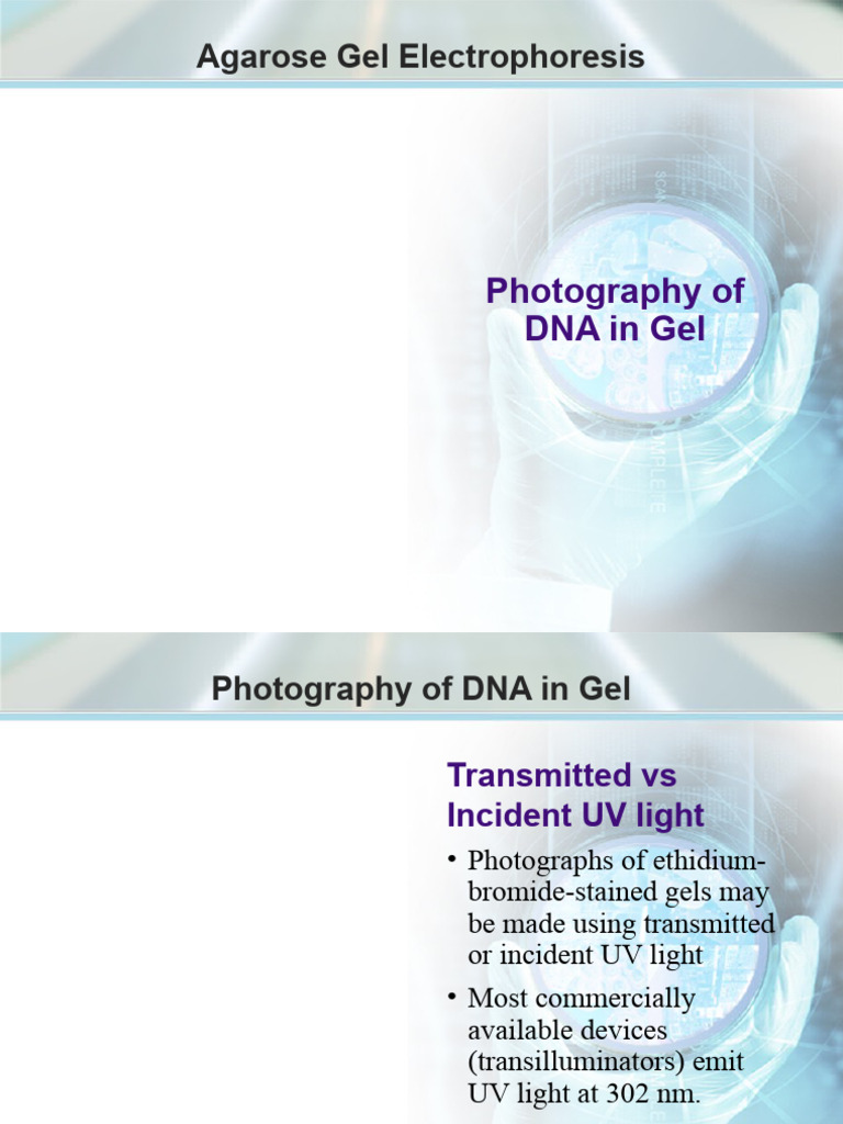 Lesson 40- Photography of DNA in Gel | PDF