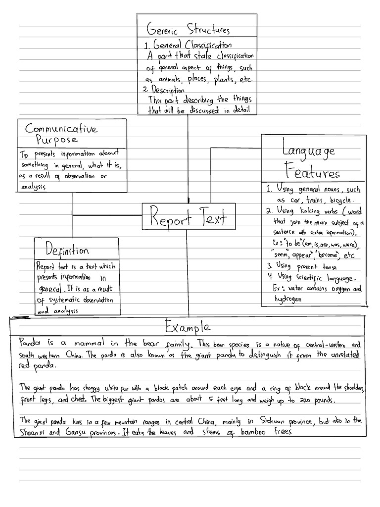 Report Text Mind Map | PDF