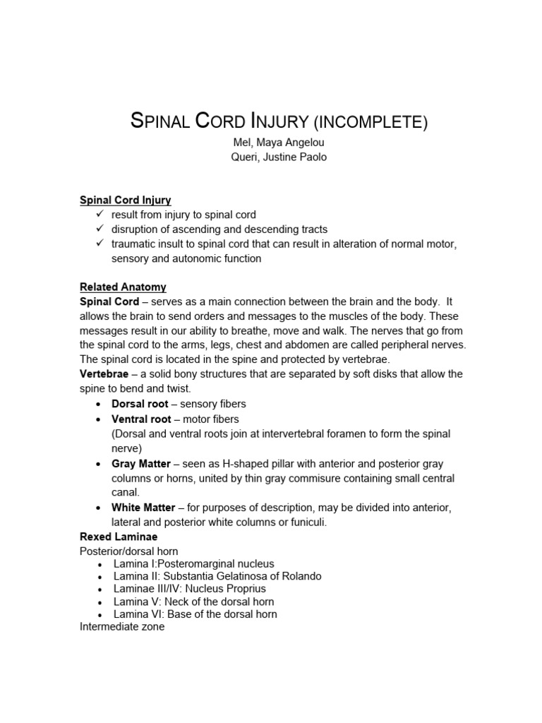 Revalida | PDF | Spinal Cord | Vertebral Column