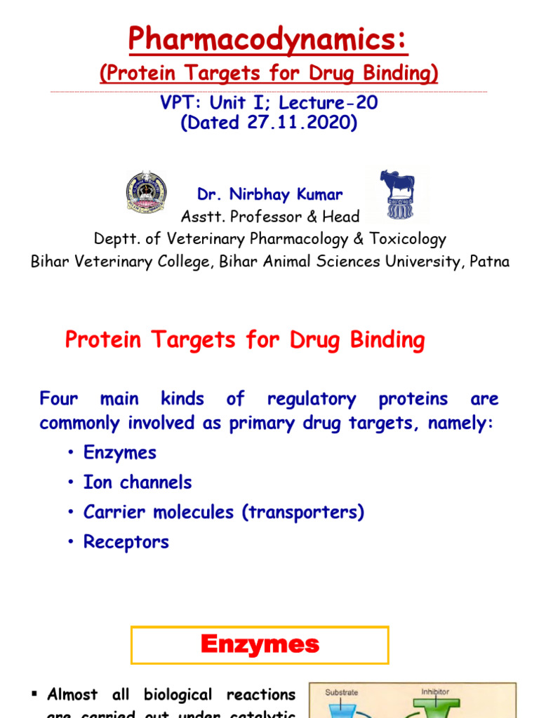 Unit I Lecture 20 - Pharmacodynamics Protein Targets For Drug Binding ...