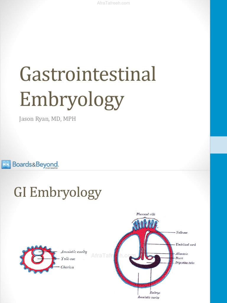 Gastrointestinal Embryology Atf | Download Free PDF | Gastrointestinal ...