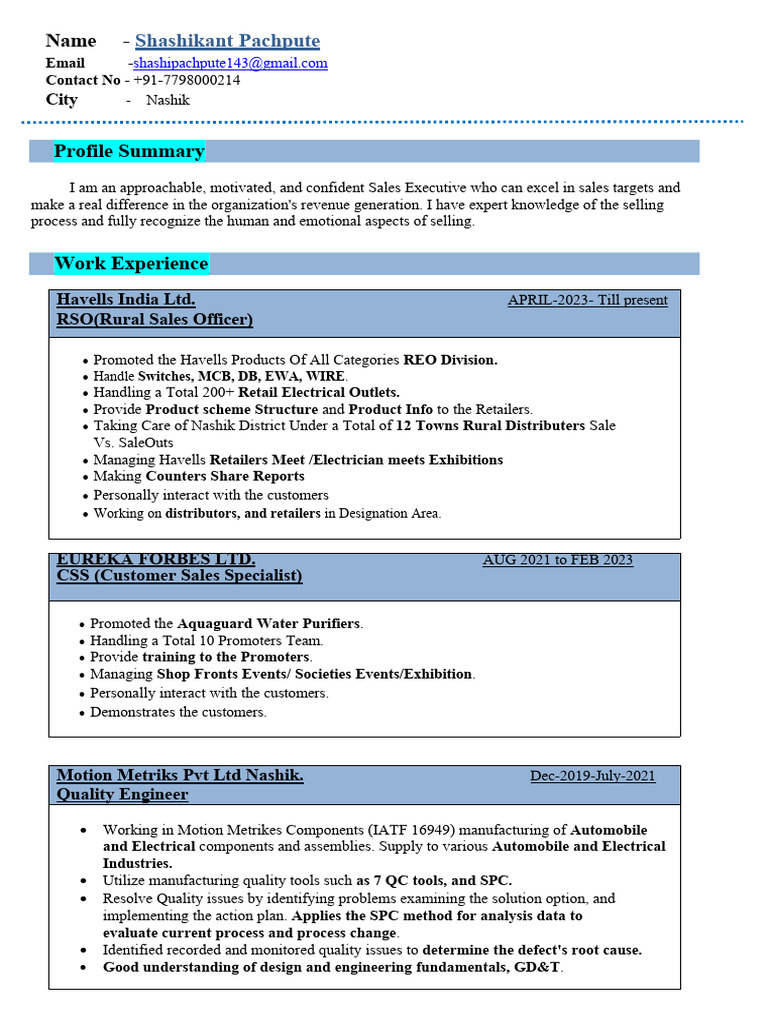 Sales Executive Profile | PDF | Retail