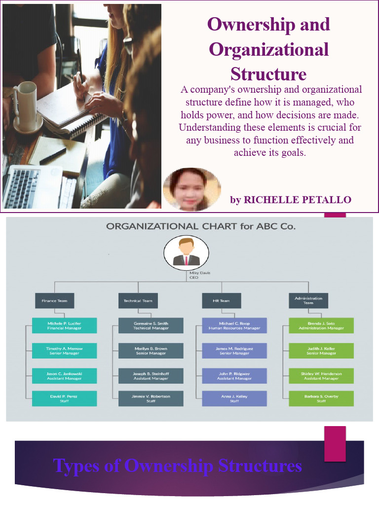 Organizational Structure | PDF | Partnership | Limited Liability Company