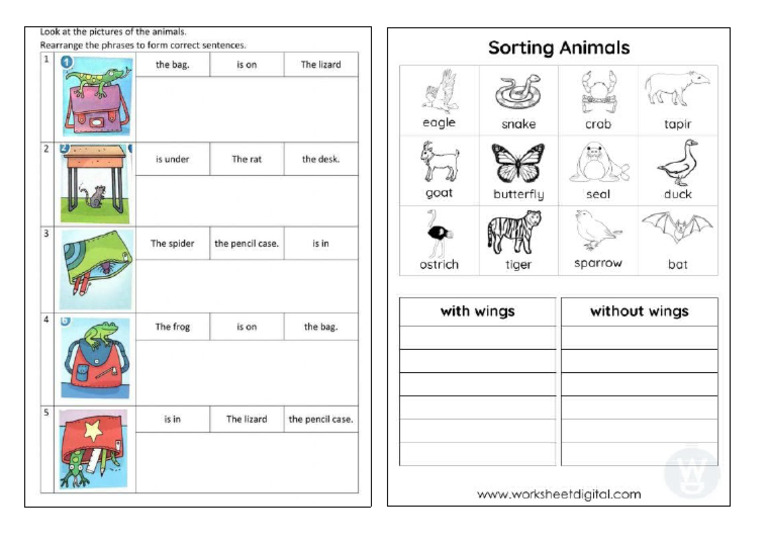 Year 1 Animals Worksheet | PDF